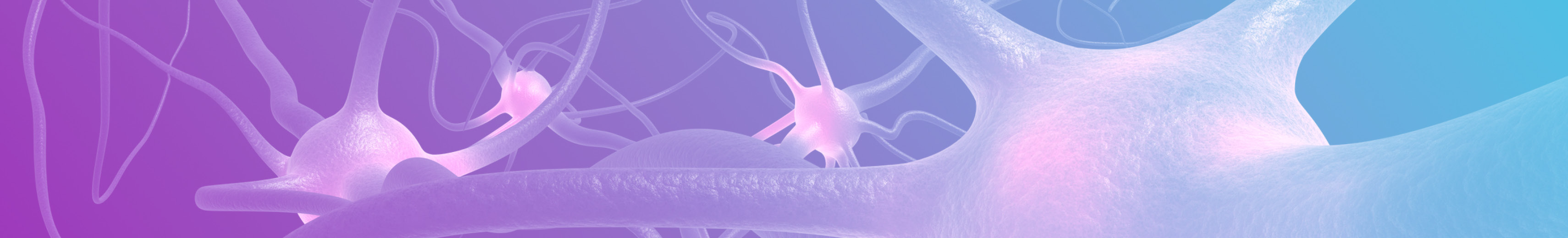 Neural Control & Autonomic Regulation | American Physiological Society