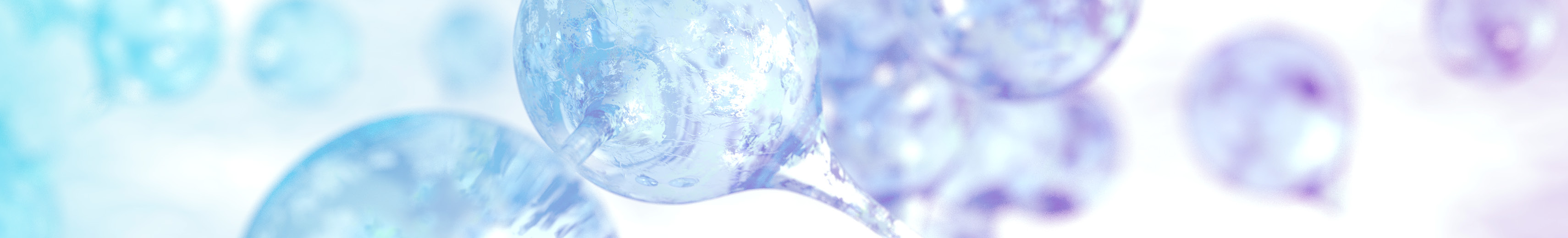 Water & Electrolyte Homeostasis | American Physiological Society