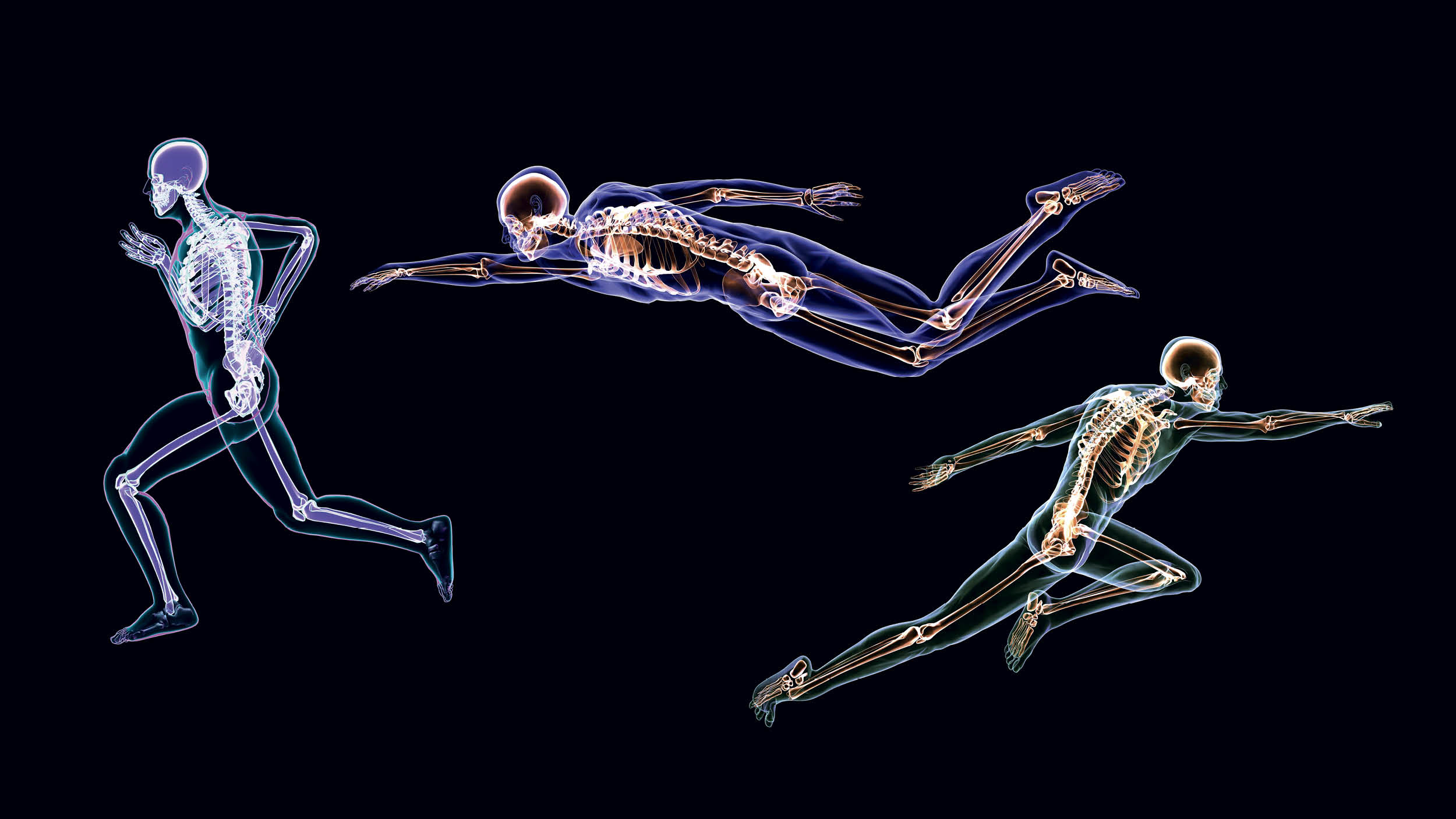 How the Human Body Physically Performs | American Physiological Society