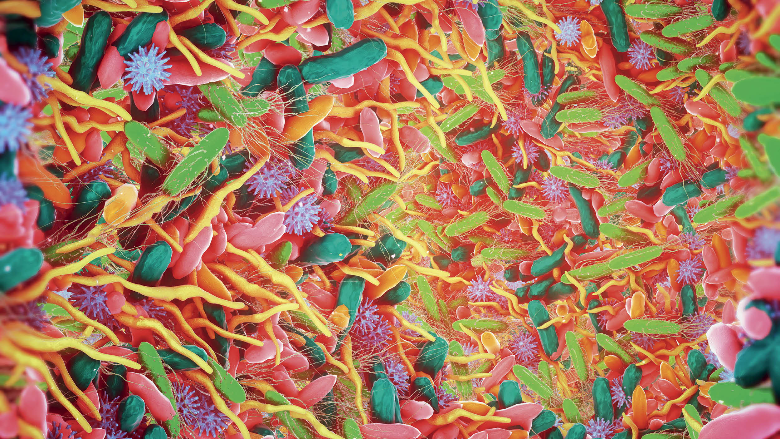 The Role of the Microbiome in Human Physiology | American Physiological ...